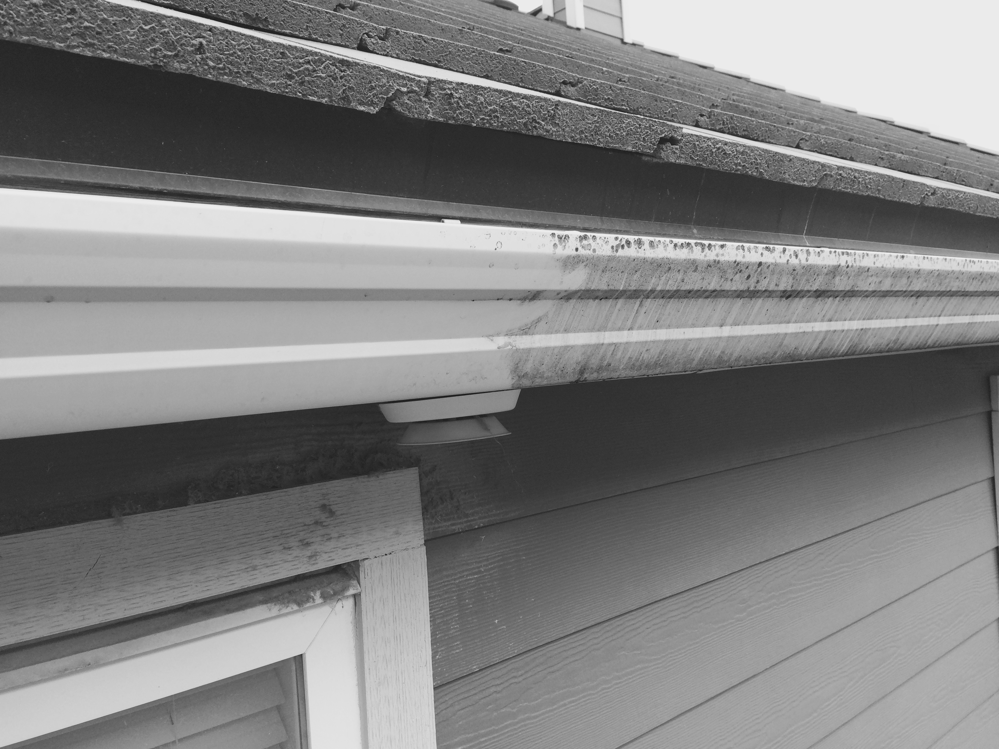 Gallery - Next Level Window Cleaning