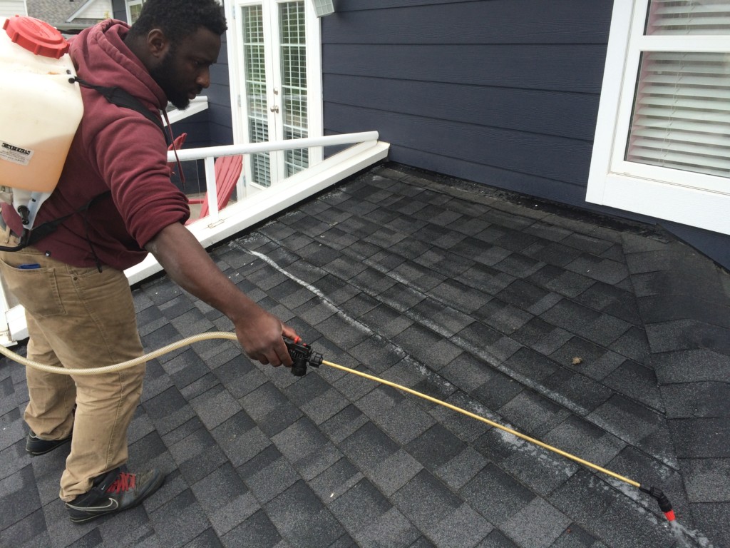 Services - Next Level Window Cleaning